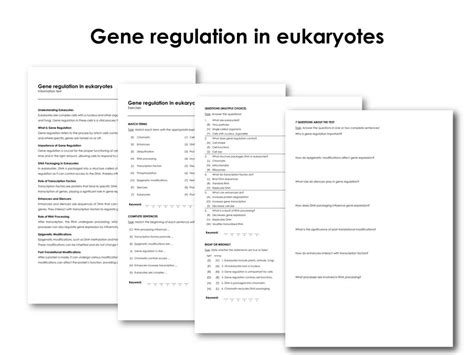 Gene Regulation In Eukaryotes Made By Teachers