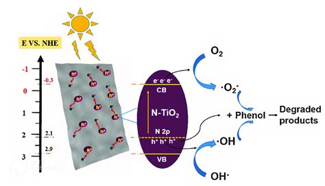 Photocatalytic Phenol Decomposition Via N Tio 2 C 191 Download