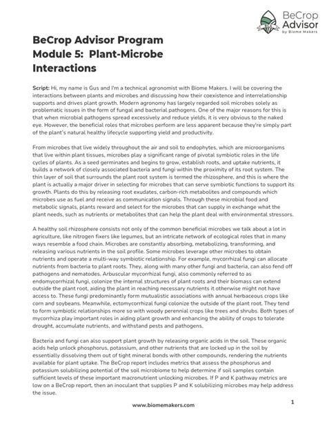 Plant Microbe Interactions Pdf Plant Hormone Plant Nutrition