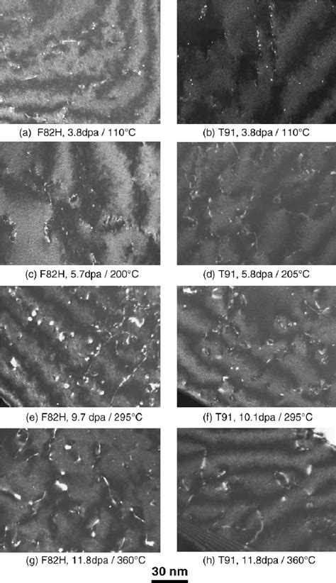 Defect Cluster Structure Of Irradiated F82h Left Column And T91