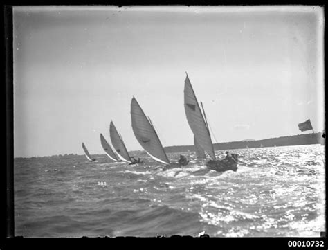 Five 16 Foot Skiffs In A Line On Sydney Harbour Works Collections