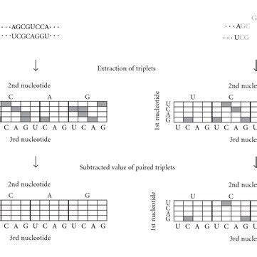 The Frequency Of The Triplets Before A And After B Subtraction The Download Scientific