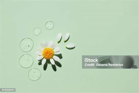 녹색 배경에 천연 카모마일이 함유 된 투명한 화장품 젤 방울 상단보기 화장품 캐모마일에 대한 스톡 사진 및 기타 이미지 캐모마일 카모마일 꽃 식물 Istock