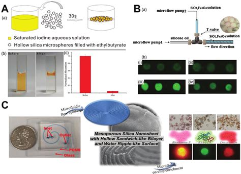 Microfluidics Synthesis Of Silica Based Biomaterials For Ion And