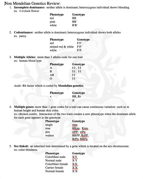 Lab 28 31 Heredity Diagram Quizlet
