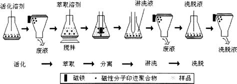 Preparation Of Magnetic Molecularly Imprinted Polymer And Application In Complex Sample Pre