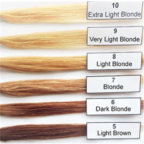 Birdie Blondes Blog About All Things Blonde — Birdie Hair Salon