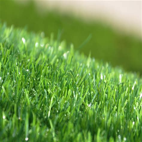 Bright Spring Green Color Natural Grass Look Artificial Synthetic Fake Grass Turf Lawn China