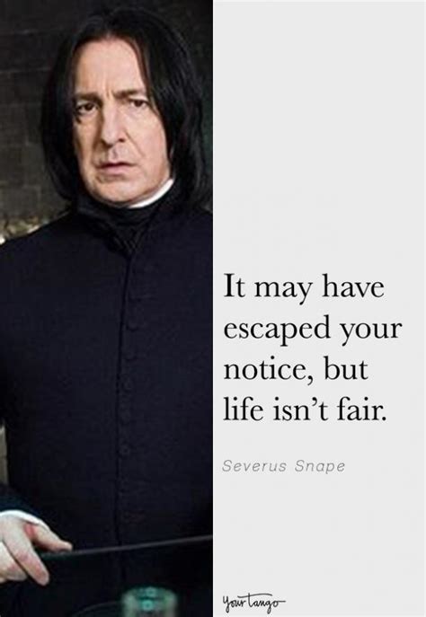 15 Of The Best Snape Quotes From Harry Potter Yourtango