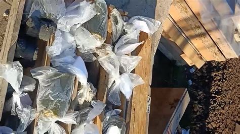 Abdelrahman Mamdouh On Linkedin Alexandria Metro Project🔥