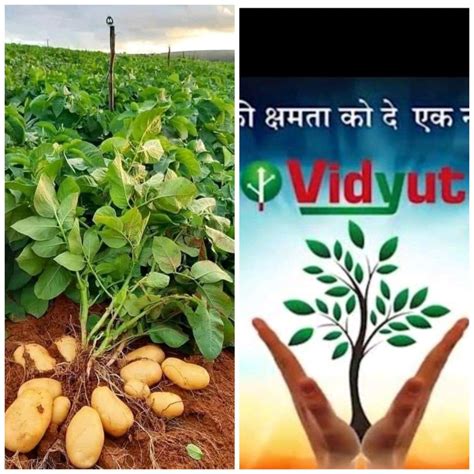 Hitesh Patel On Linkedin Result Vidyut