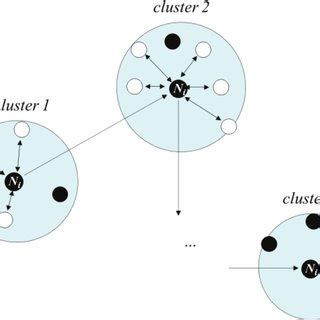 Selection Of The Largest Cluster Download High Resolution Scientific Diagram