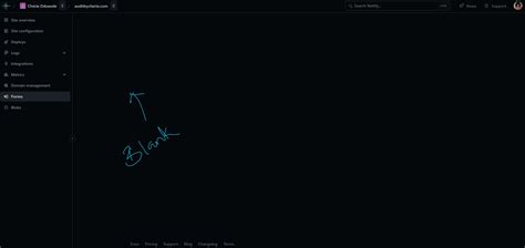 Cant View My Form Submissions Support Netlify Support Forums