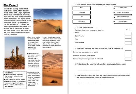 The Desert Ks2 Primary Reading Comprehension National Test Style