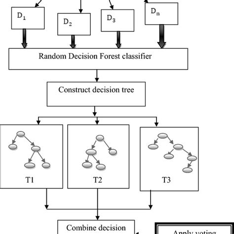 process of random forest bivariate regression and classification