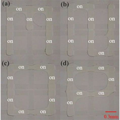 Microfluidic Patterning Using A Two Plate L DEP System A M B N Download Scientific