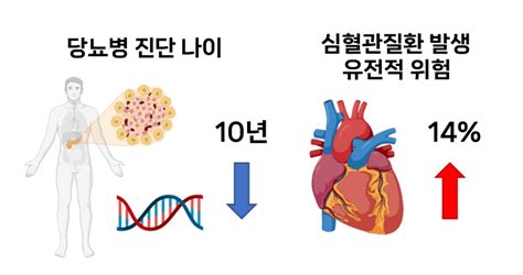 서울대학교병원