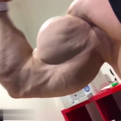 Big Biceps Veiny Arms Flexing