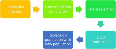 Simplified Diagram Of A Typical Genetic Algorithm Lifecycle Download