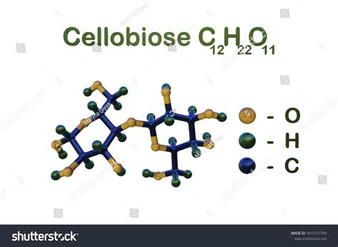Cellobiose Structure