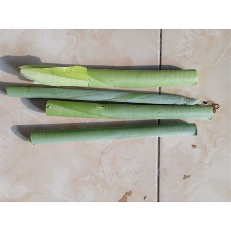Jual Pucuk Daun Pisang Batu Muda Pucuk Pohon Pisang Batu Shopee Indonesia