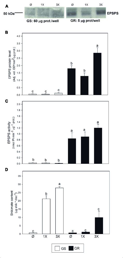 Characterization Of Resistance In Amaranthus Palmeri Populations Download Scientific Diagram