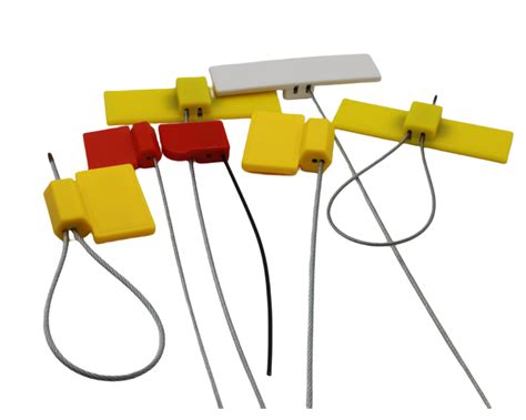 High Quality Rfid Seal Tag Electronic Rfid Tag Factory And Supplier Focus