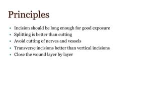 ANATOMY OF RECTUS In OBST AND GYNAE Pptx
