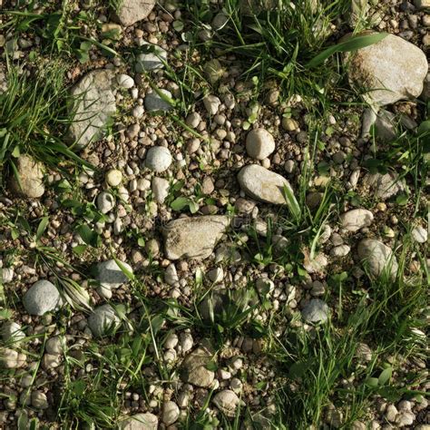 Photo Of Wild Grass Mixed With Small Stones Seamless Texture Stock