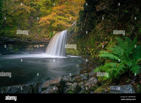 Autumnal Waterfall Along The Four Waterfalls Walk Waterfall Country
