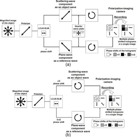Polarization Transitions To Generate Multiple Phase Shifted Incoherent