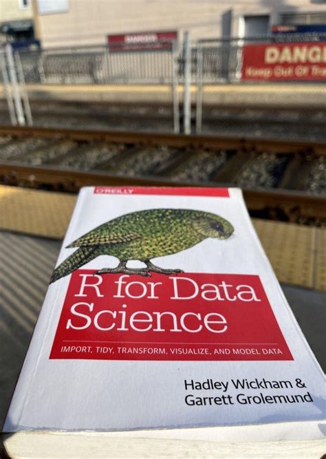 Read R For Data Science By Hadley Wickham And Garrett Grolemund Muhammad Mohsin Raza Posted On