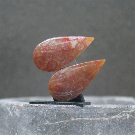 Red Fossil Coral Pair Etsy