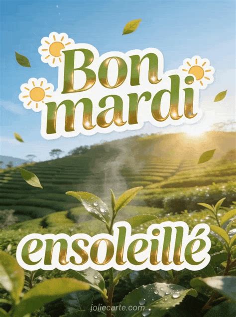 ☀️ Bon Mardi Ensoleillé  Image Gratuite Joliecarte