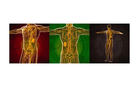 How Do I Know If I Need Lymphatic Drainage Massage