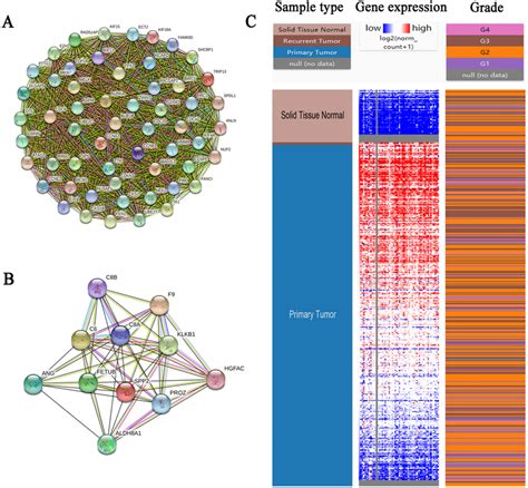 Ppi Network Of Module 1 A Module 2 B And Hierarchical Clustering Download Scientific