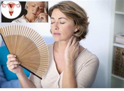 Эмэгтэйчүүдийн эмнэлэг Цогнэмэх ♀️Цэвэршилтийн шинж тэмдэг Цэвэршинэ гэдэг нь сарын тэмдэг