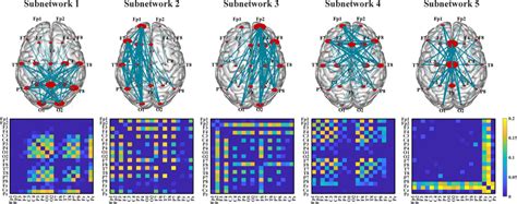 Mapping Of The Connectivity In Functional Subnetworks The Size Of A Download Scientific