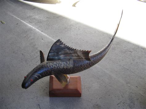 Carved Fish Turtle Shell Collectors Weekly Carved Fish Turtle Shell Collectors Weekly