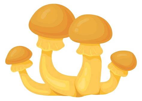 Premium Vector Honey Fungus Icon Cartoon Yellow Cap Mushroom