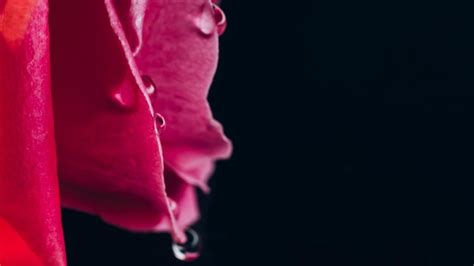 Sex Background Images Free Download On Freepik