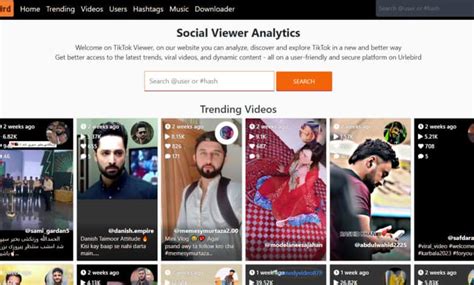 Urlebird Tiktok Downloader How To Use It And Top Alternatives