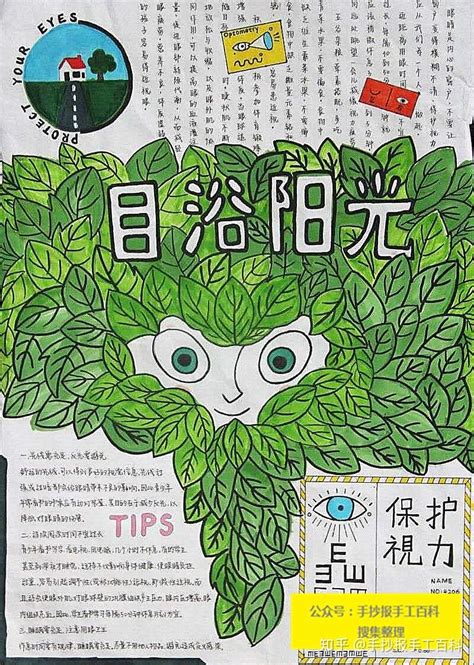 爱眼护眼手抄报 知乎