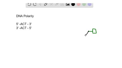 SOLVED A Segment Of DNA From The Interior Of A Single Strand Is Shown In Figure Q What Is