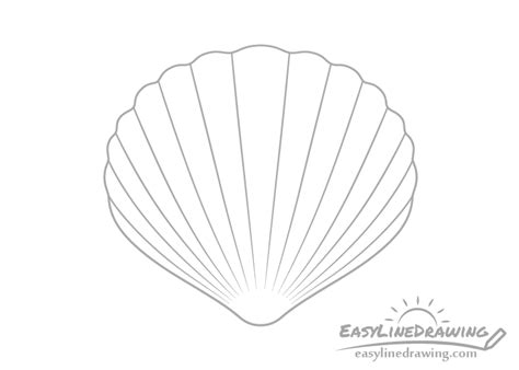 How To Draw A Seashell Seashells Step By Step Drawing Guide By Dawn Artofit