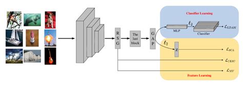 Our Model Overview Diagram Rsg Is The Abbreviation Of The Rare Class