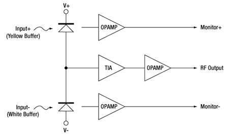 Compact Balanced Amplified Photodetectors