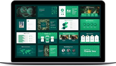 Special Web Design Rauvas Web Design And It Services