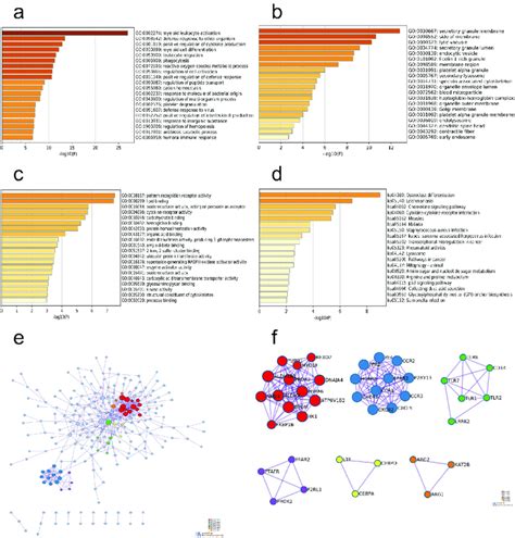 Function Enrichment Analysis And Ppi Network Construction A Go