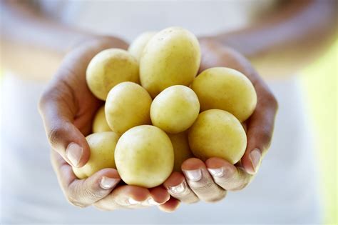 Төмс Хүний биед хэрэгтэй эсвэл хэрэггүй гэдгийг тойрсон мэдээллийн талаар